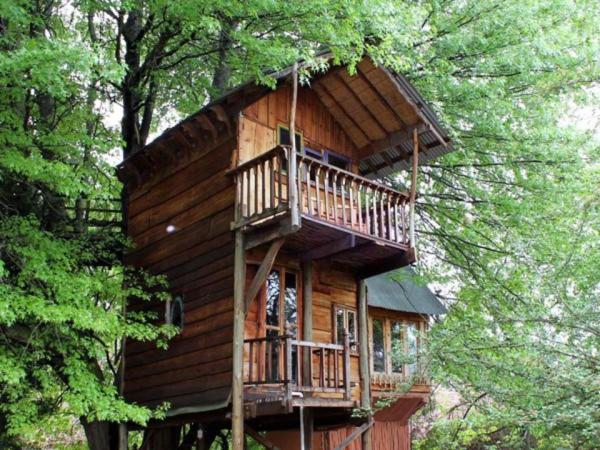 Sycamore Avenue Treehouses & Cottages Accommodation - Mooi River