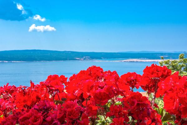 Guest House Djurdjica - Crikvenica