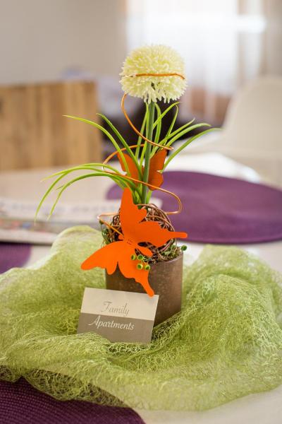 Family Apartments - Kappel-Grafenhausen