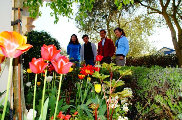 Olive House Bed And Breakfast - West Coast