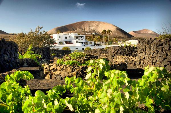Hotel Rural Finca De La Florida - San Bartolomé