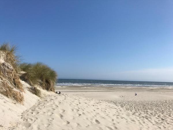 Effe Wad - Ameland