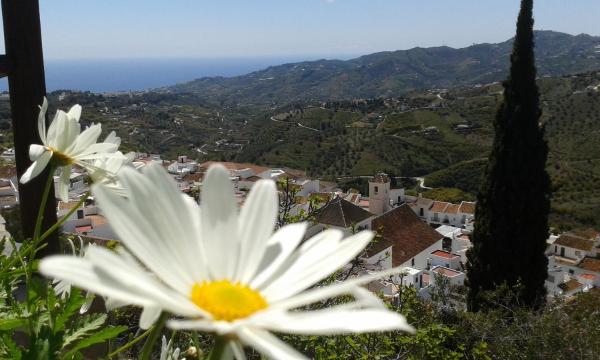 Casa Ana, Fantásticas Vistas A Frigiliana, El Mar Y La Montaña - Frigiliana