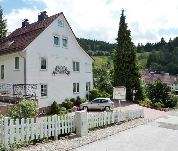 Pension Rheingold Garni - Harz