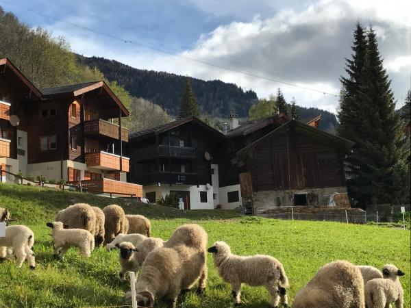 Danica - Belalp