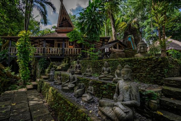 Taman Nauli Boutique Rooms - Canggu