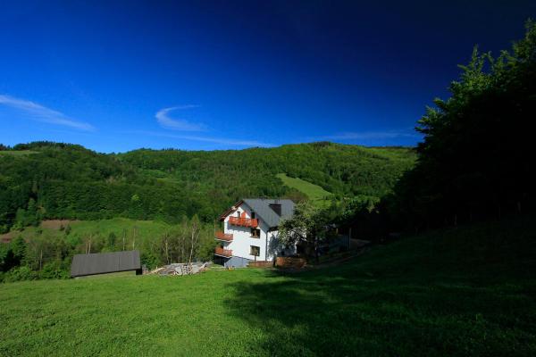 Willa Pod Bukami - Poland