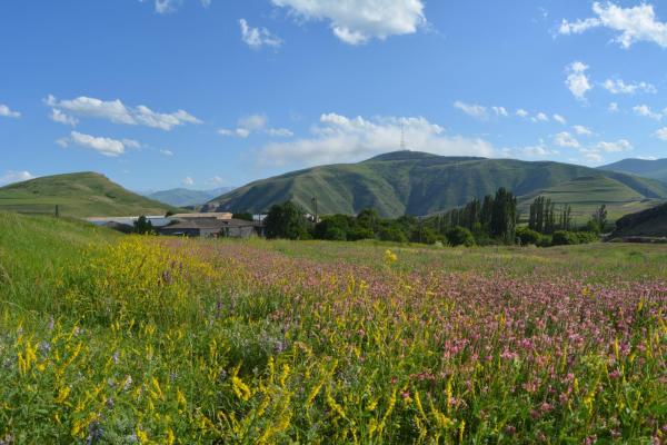 Azoyan Holiday Resort - Armenia
