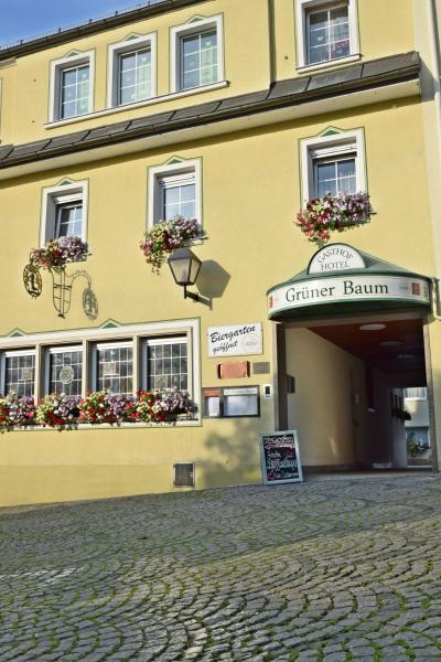 Hotel Grüner Baum - Bad Lobenstein