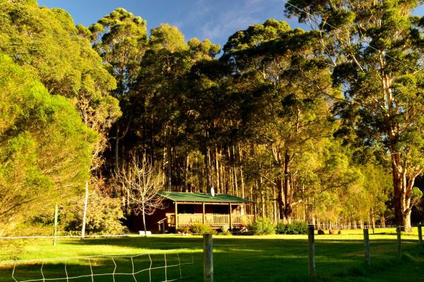 Diamond Forest Farm Stay - Manjimup