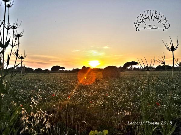 Agriturismo San Matteo - Civitavecchia