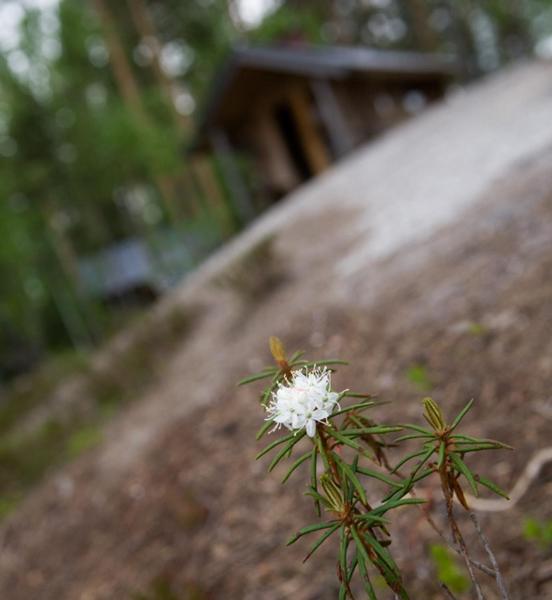 40 M² Mökki ∙ 2 Makuuhuonetta ∙ 4 Vierasta - Pirkanmaa