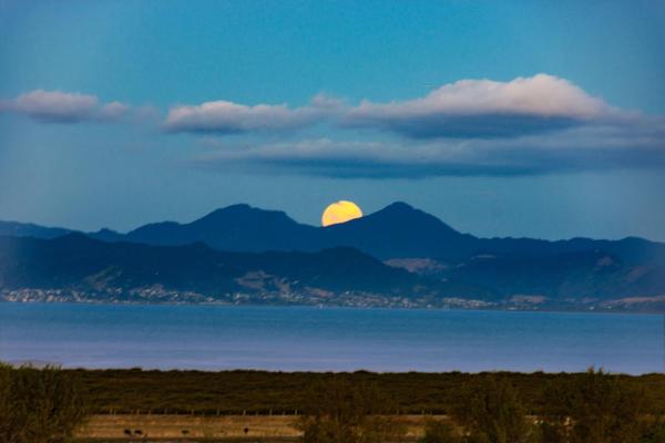 Miranda Sea View Apartment - Kaiaua