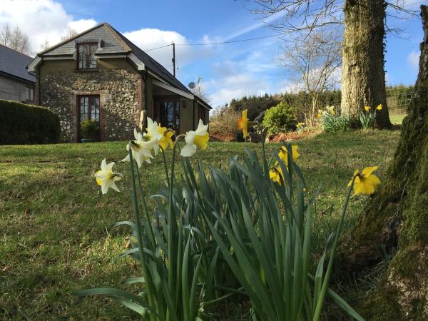 Meadow Sweet Cottage - Okehampton