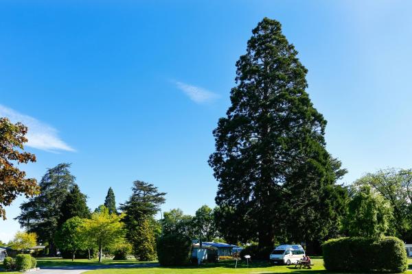 Geraldine Top 10 Holiday Park -