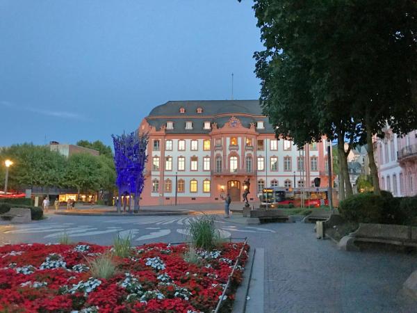 Osteiner Hof By The Apartment Suite - Mainz