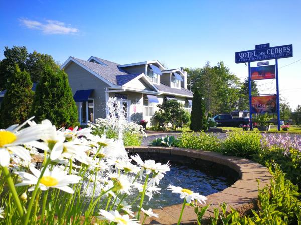 Motel Des Cèdres - Sherbrooke