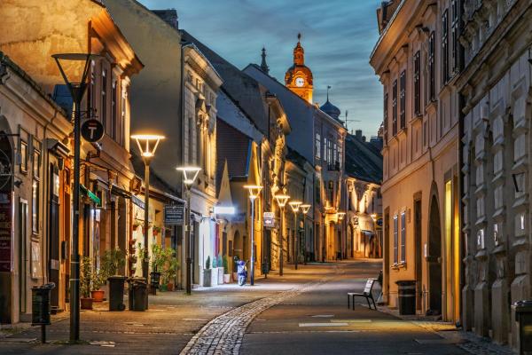 Ferencesek Apartman - Pécs
