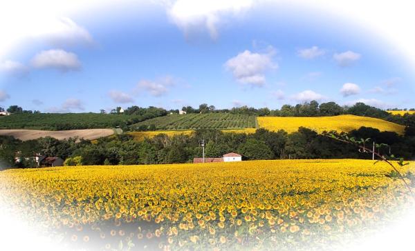 Chambre D'hôtes Lencouet - Aquitaine