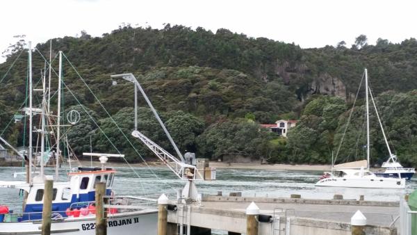 Mooring Lane Lodge - Whitianga
