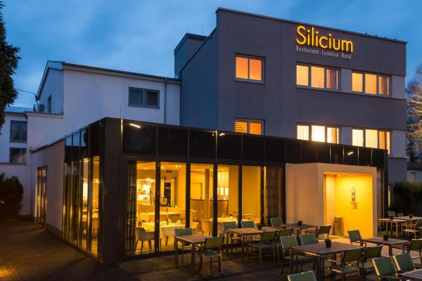 Hotel Silicium - Höhr-Grenzhausen