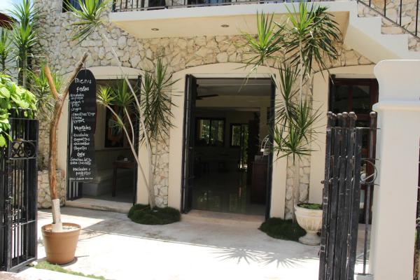 City Center Studyo "Casa Natural" - Yucatan