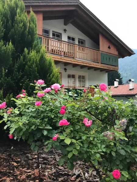 La Casa Verde - San Martino di Castrozza