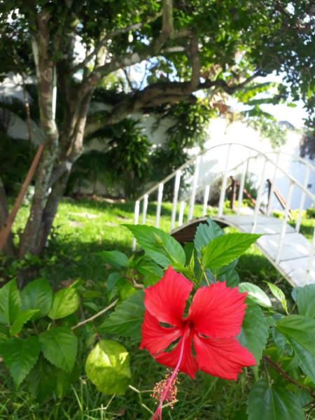 Secret Recreio - Recreio