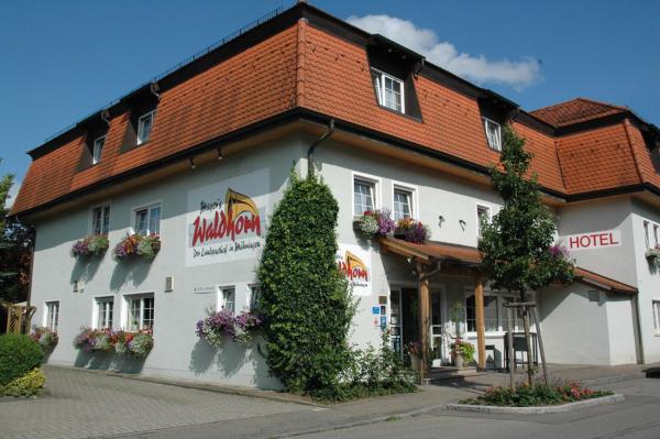 Mayers Waldhorn - Zwischen Reutlingen Und Tübingen - Hechingen