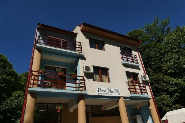 Pensiunea Pinul Negru - Roumanie