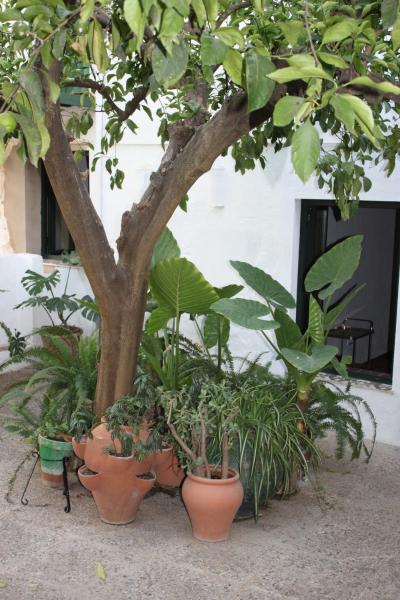 Las Jimenas - Zufre