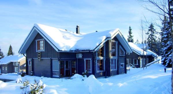 Hotel Aateli Hillside - Sotkamo