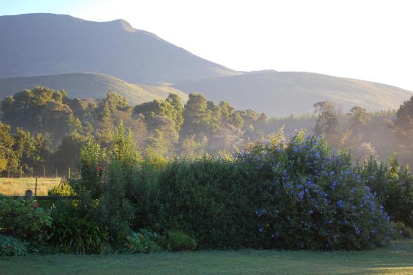 Four Fields Farm - Zuid-Afrika