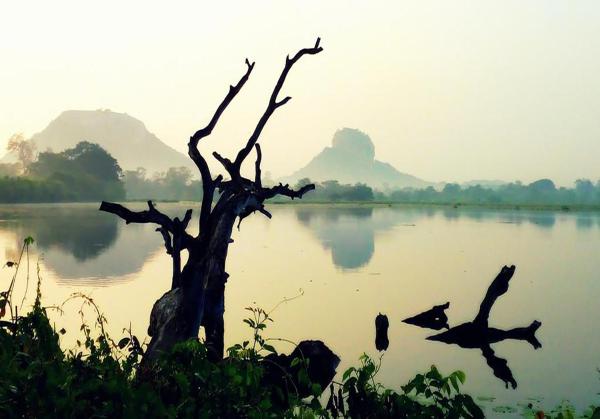 Sigiriya Rock Gate Resort - Sri Lanka
