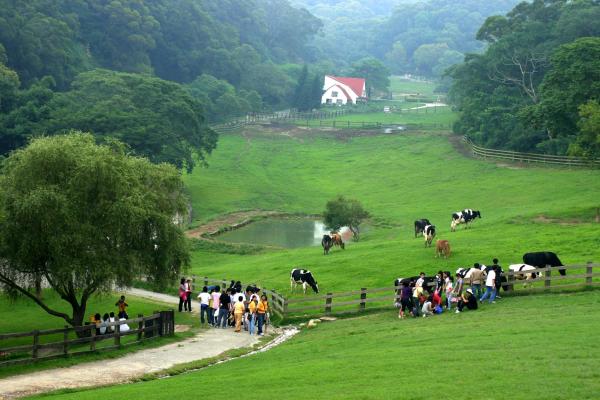 Flying Cow Ranch - Sanyi Township