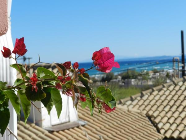 Infinity Blue Beach Apartments - Renovated Apartments 2 Minutes From The Sea & Pool With Scenic Views - Zakynthos