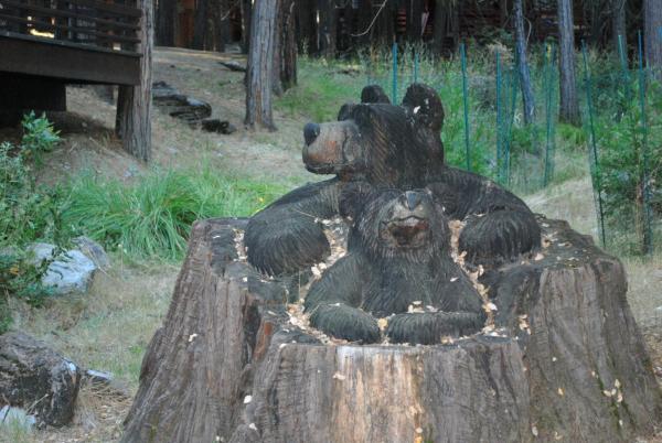11 Shangri La-de-da - Wawona, CA