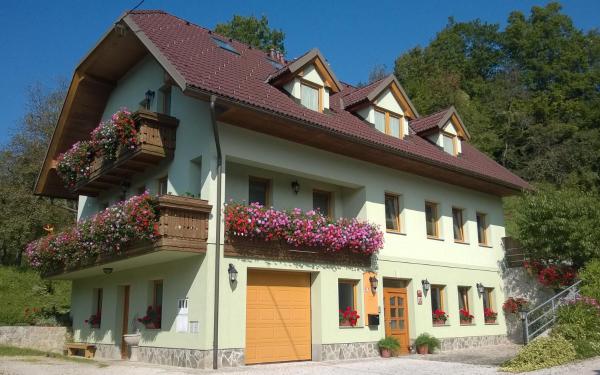 Apartmaji Hribar Pr'ostank - Alpes