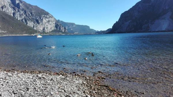 Le Case Di Giulia - Abbadia Lariana