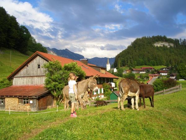Haus Willi - Kleinwalsertal