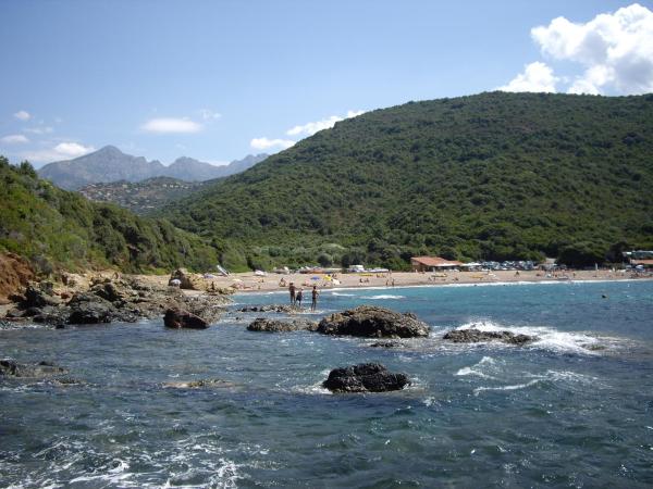 Les Asphodèles - Piana
