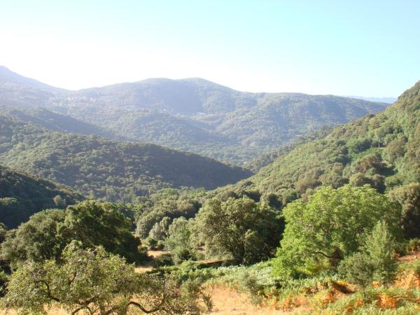 Rez De Villa - Olmeto