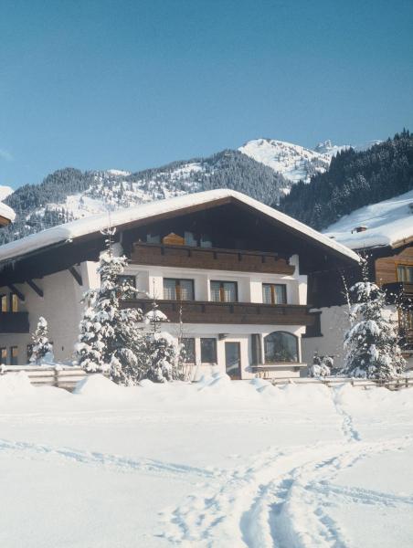 Haus Alpina By Châtel Reizen - Wagrain