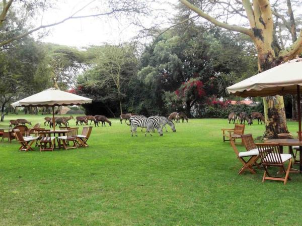 Muthu Lake Naivasha Country Club, Naivasha - Kenya