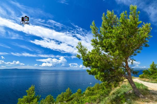 Vila Maslina Apartments Mit Pool Und Garten Nahe Am Strand - Riwiera Makarska