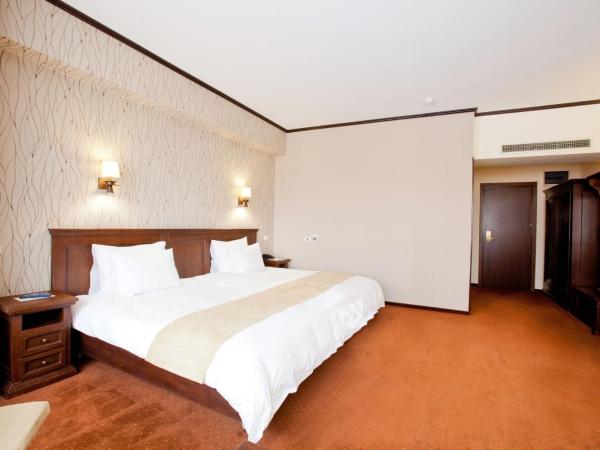 International Bucharest City Centre Hotel - Bucharest