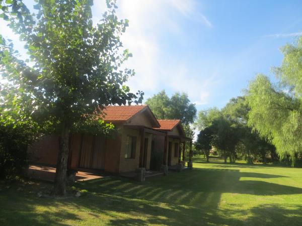 Reina De Las Cortaderas - Merlo