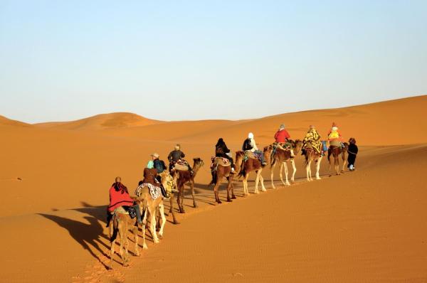 Sahara Camel Tours Camp - Maroc
