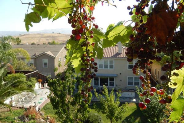 Beautiful Home In Quiet Area - San Jose, CA