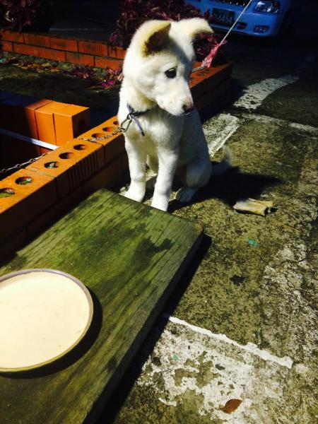 Geoje Ton Ton Guesthouse - Tongyeong-si